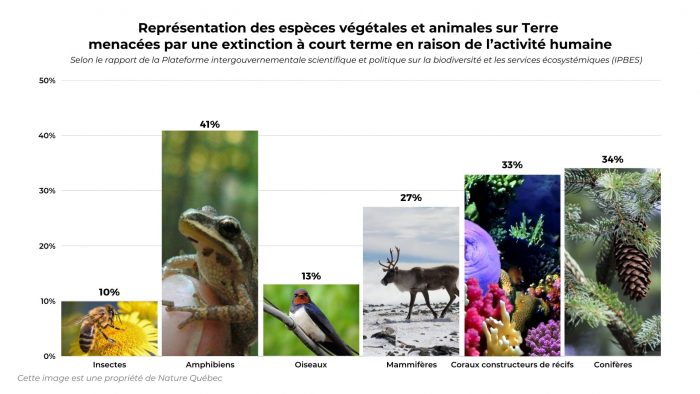 C’est quoi la biodiversité? Et pourquoi la protéger? - Nature Québec : Nature Québec